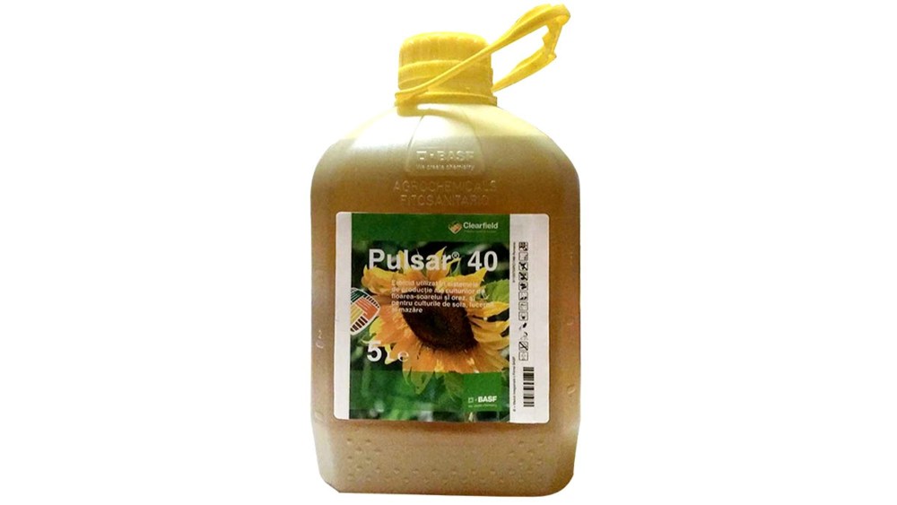 Sistemul Clearfield pentru floarea soarelui - BASF Agro Romania