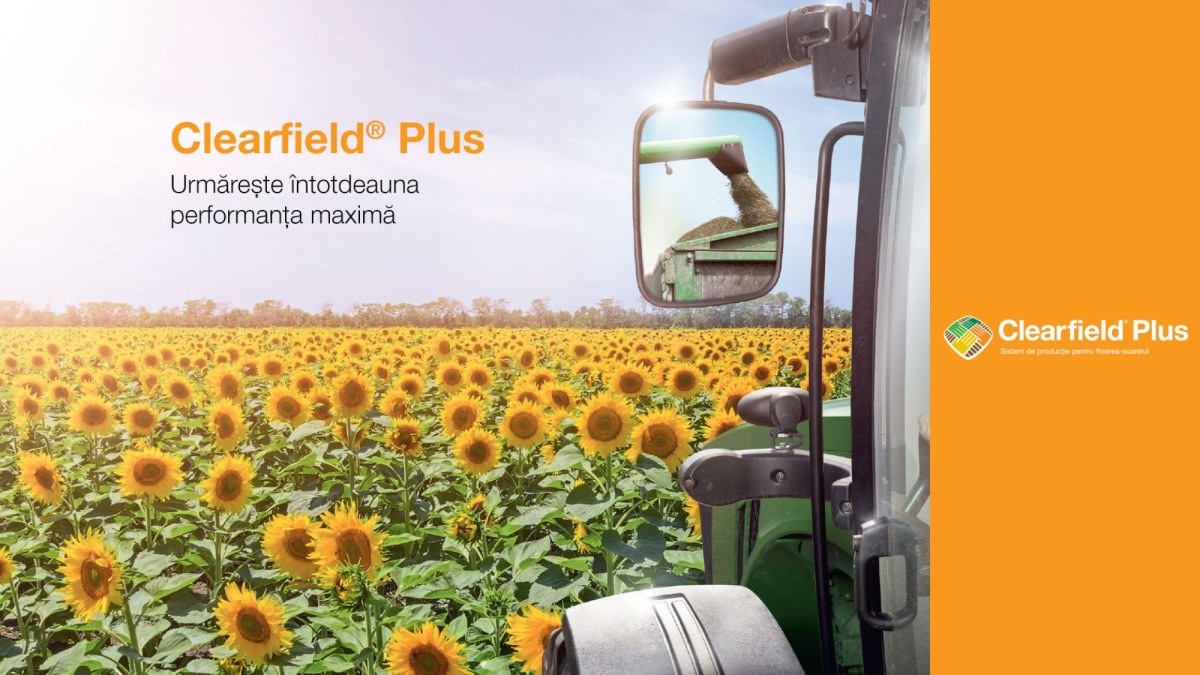 Sistemul Clearfield - Agricultură - BASF Crop Protection Romania