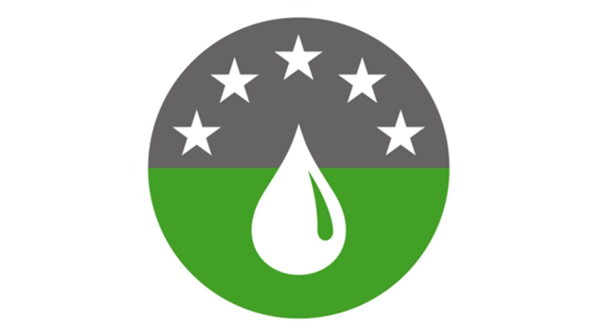 InVigor InV1166CL - Seminte hibrid de rapita - BASF