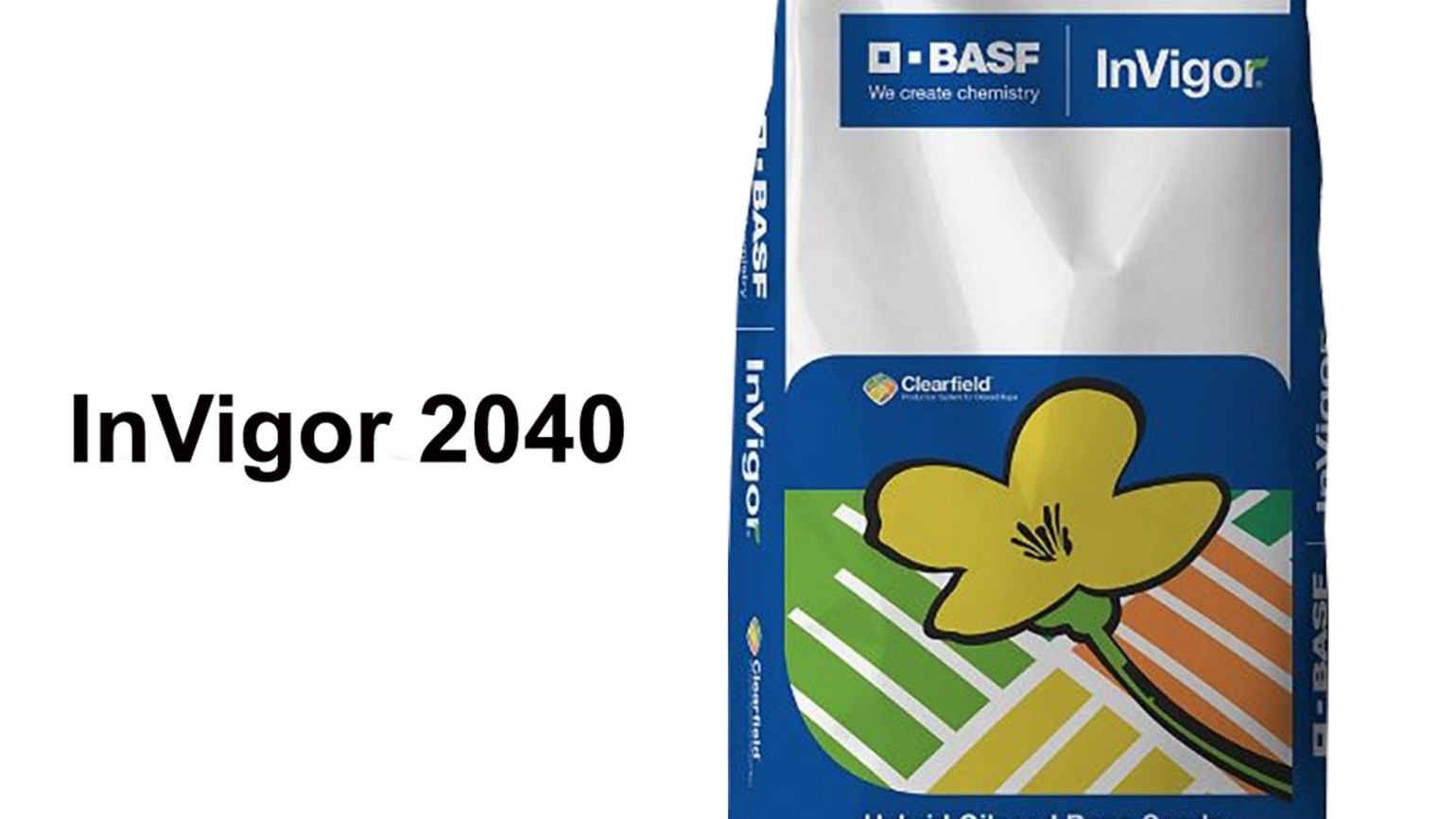 InVigor 2040 - Seminte hibrid de rapita - BASF