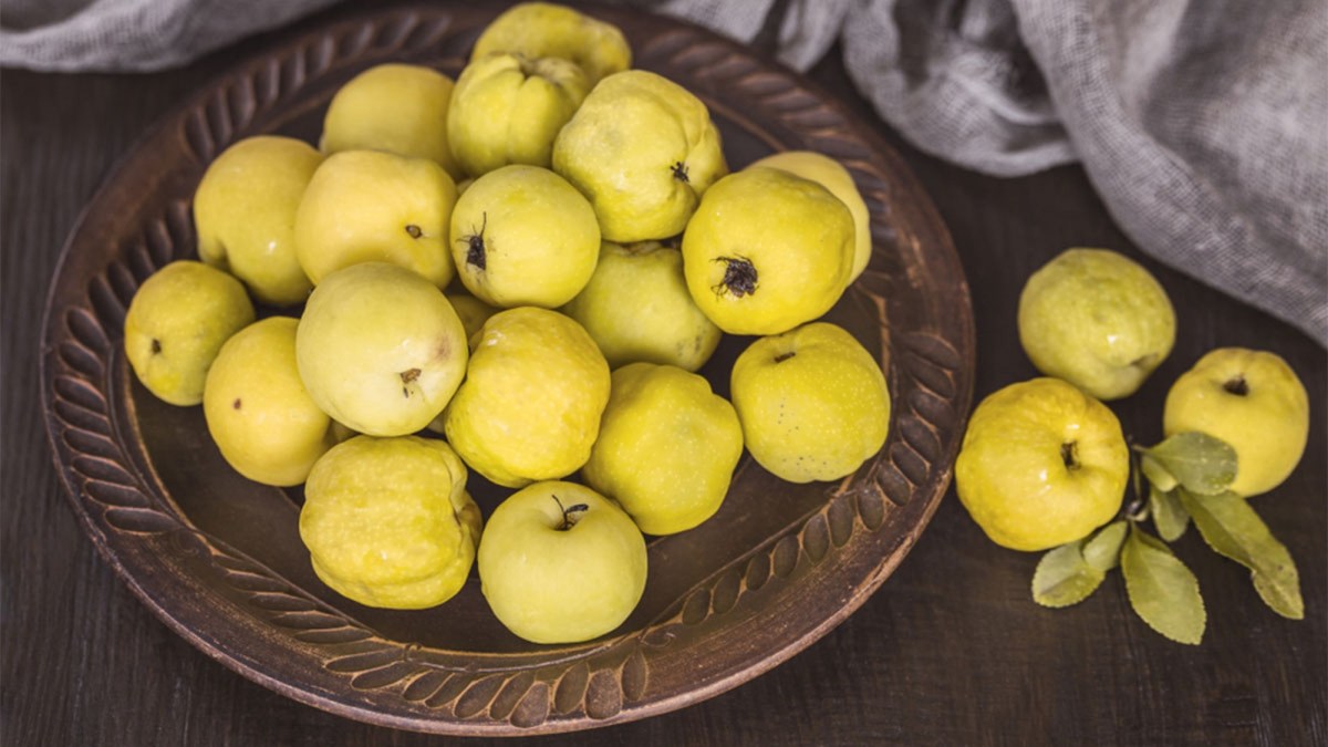 Tot ce trebuie să știi despre cultura gutuiului: de la înființare la ...