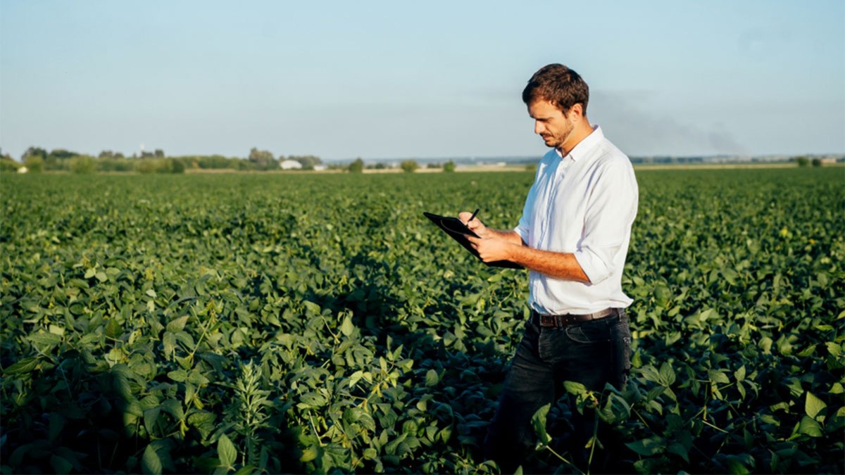 Combaterea bolilor și buruienilor la soia - BASF Agricultural Solutions ...