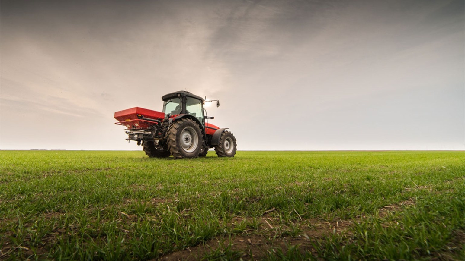 Fertilizarea solului: tipuri de îngrășăminte și moduri de aplicare ...