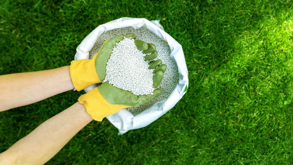 Fertilizarea solului: tipuri de îngrășăminte și moduri de aplicare ...