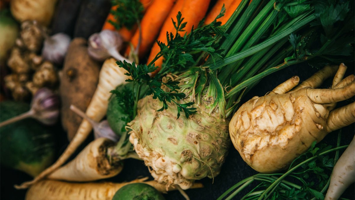 Rădăcinoasele: cultivare, tratamente și recoltare - BASF Agricultural ...