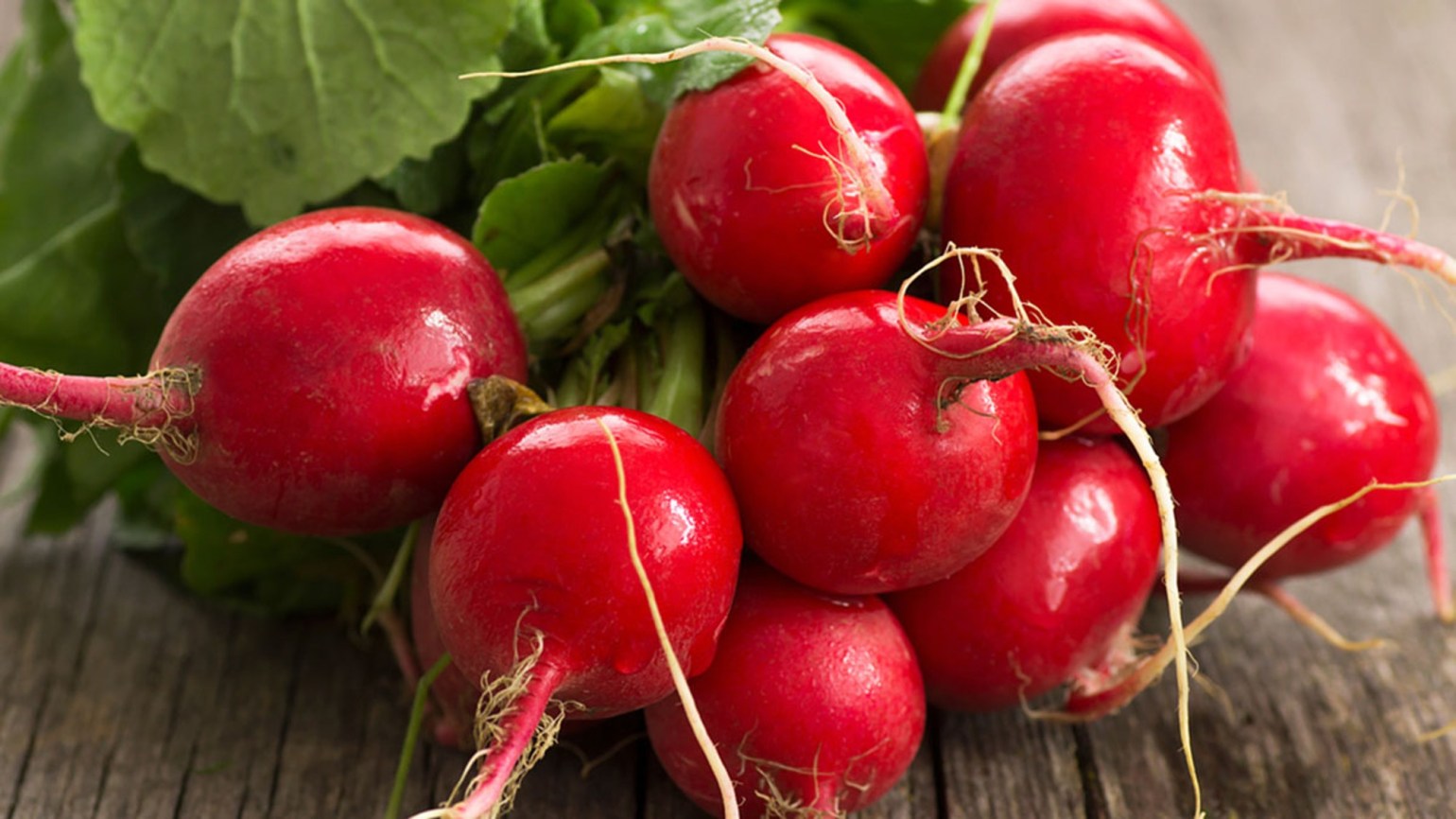 Totul despre ridichile de luna