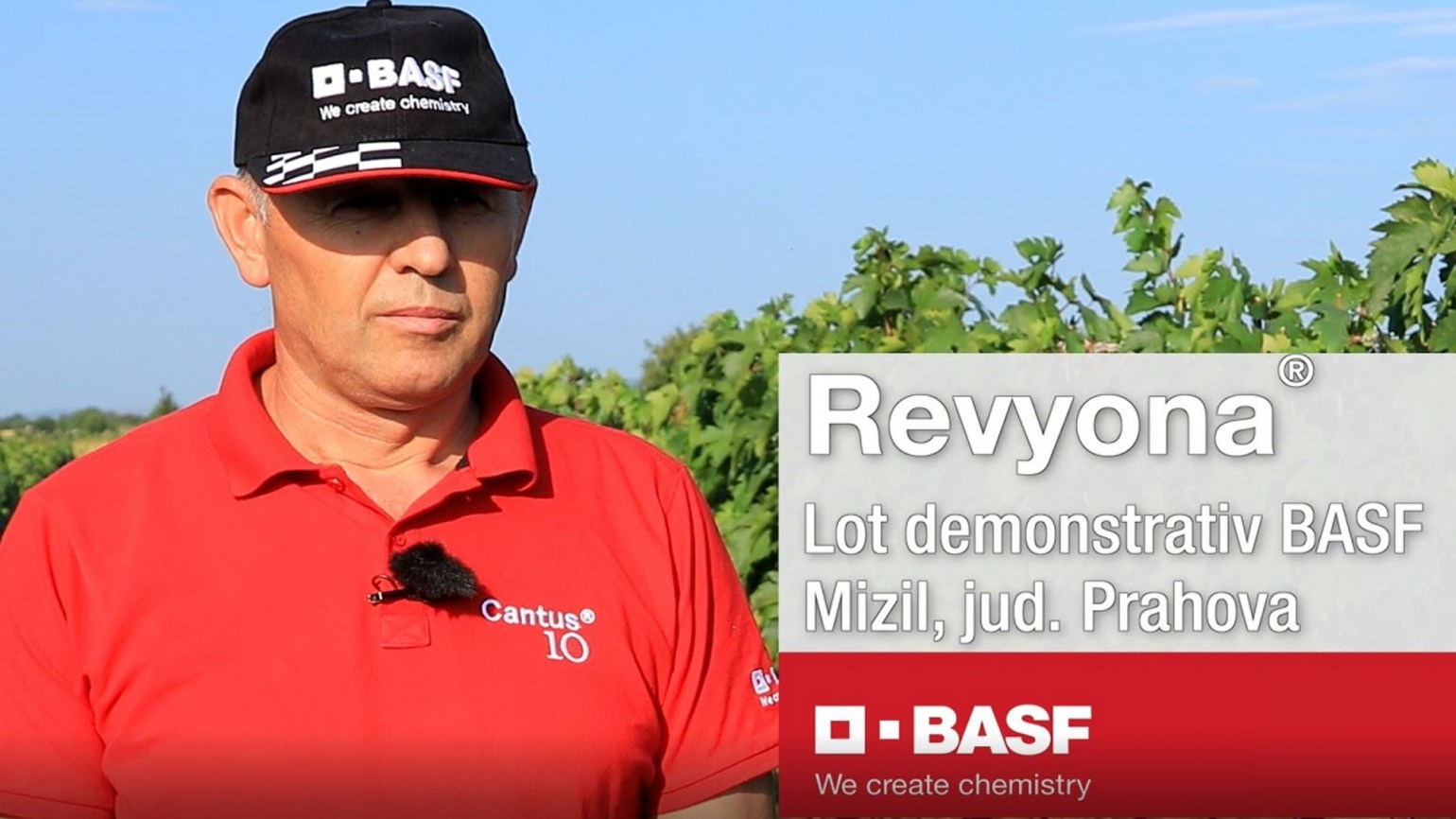 Noul fungicid Revyona® de la BASF - BASF Agricultural Solutions România