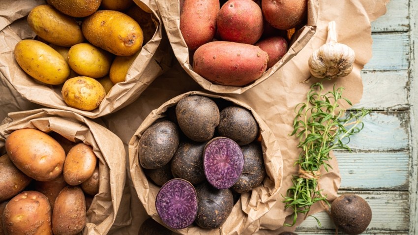Totul despre cultura cartofului