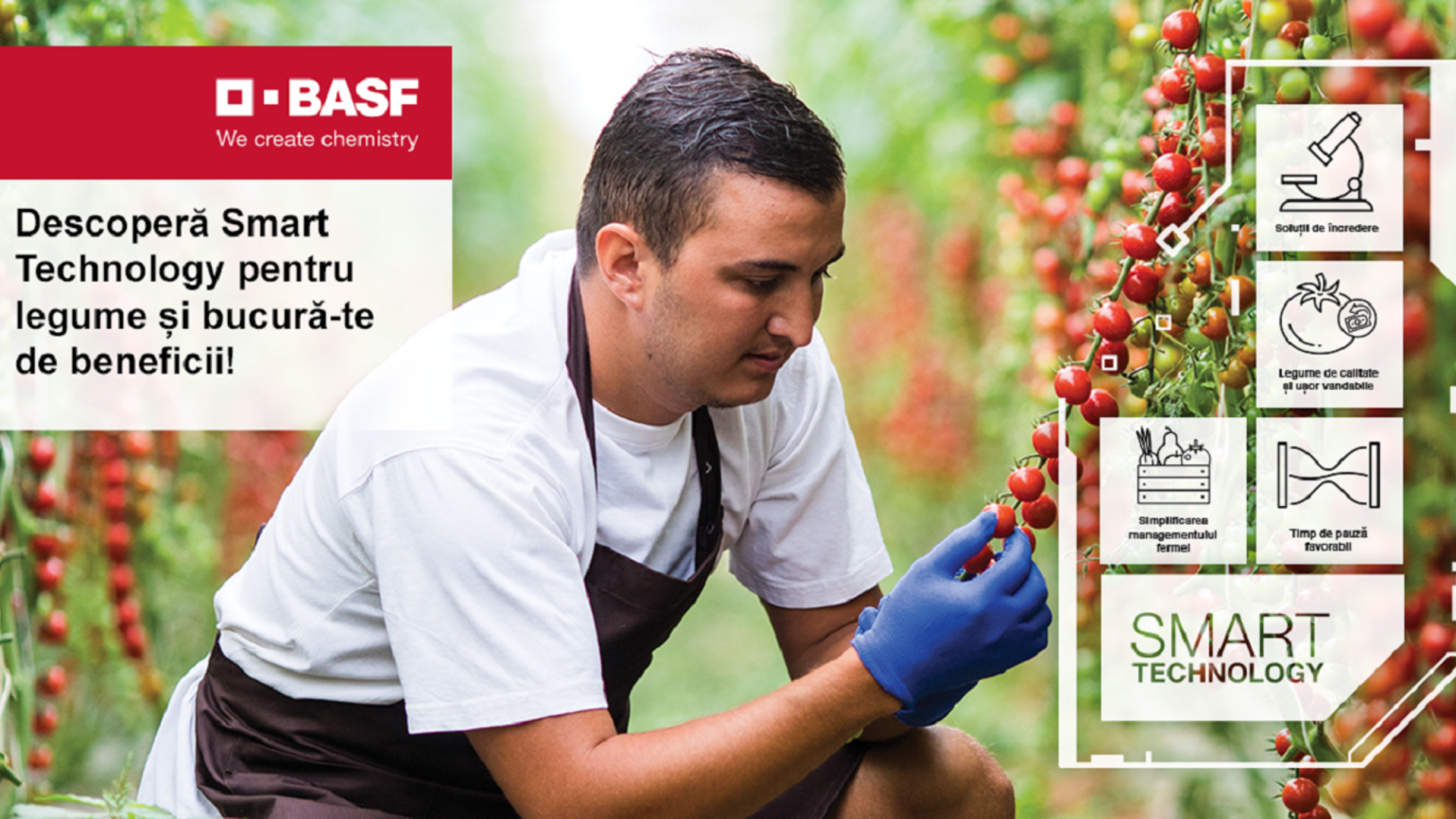 Beneficiile Smart Technology de la BASF, pentru legume