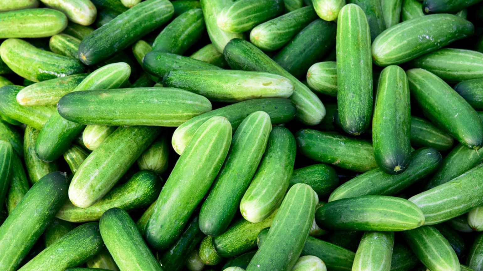 Totul despre cultura castravetilor