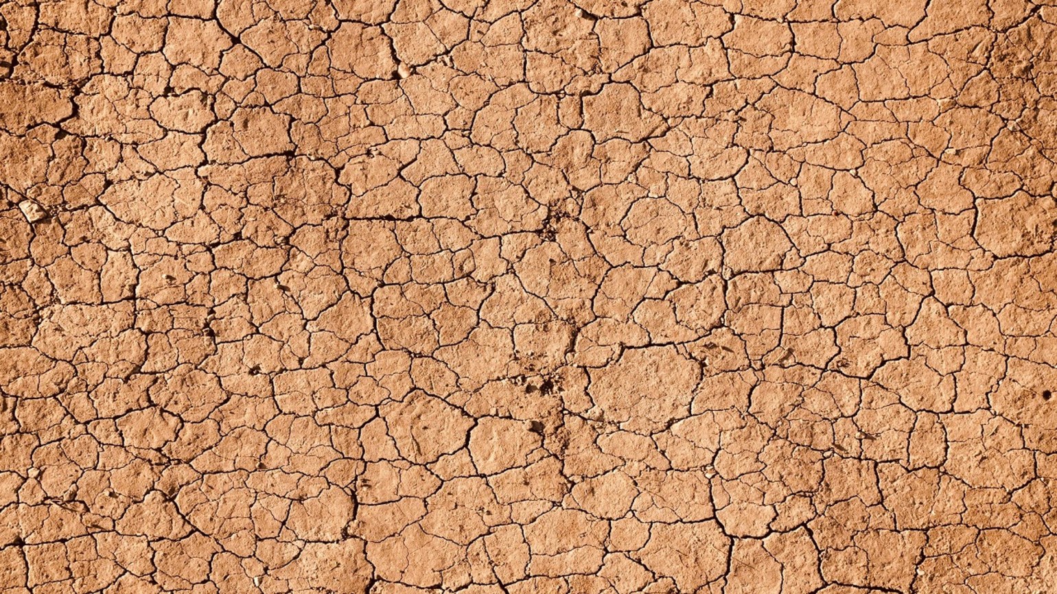 Care sunt sumele acordate fermierilor?