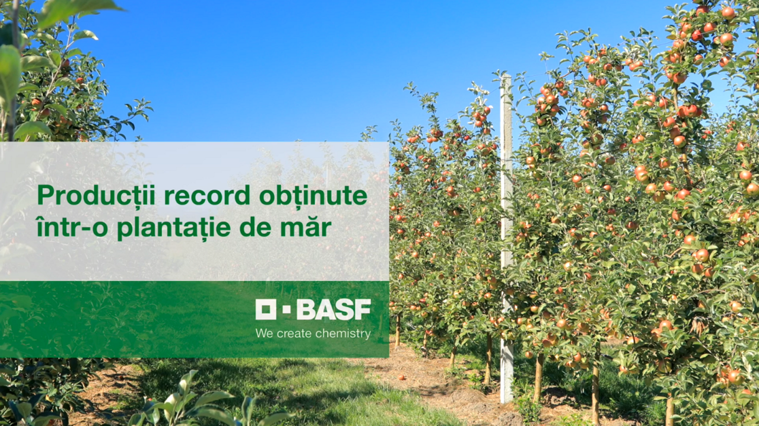 Agricultura viitorului, livezi superintensive