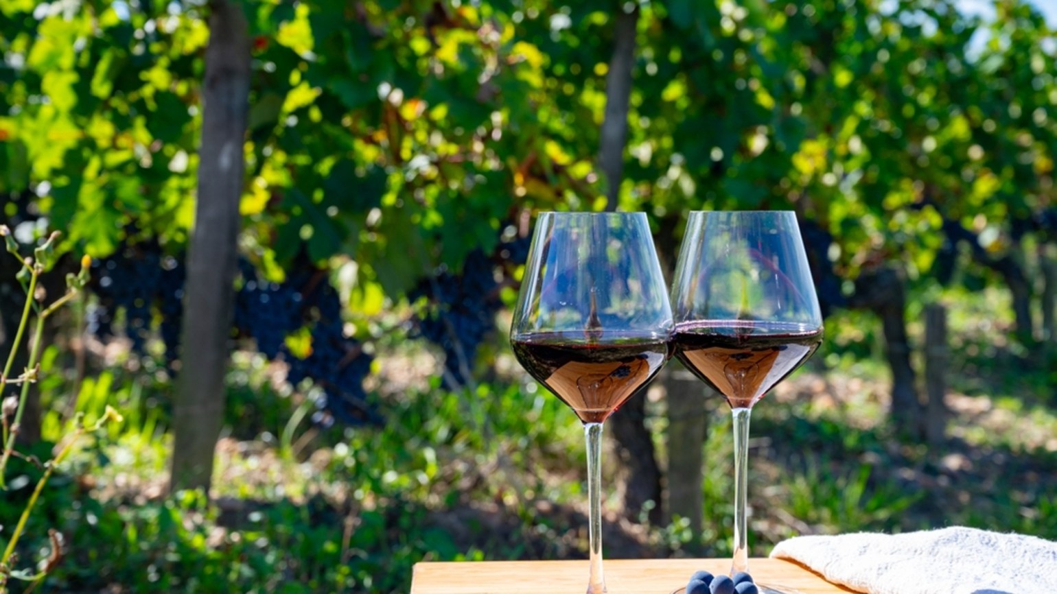 Top 32 vinuri românești premiate internațional cu aur