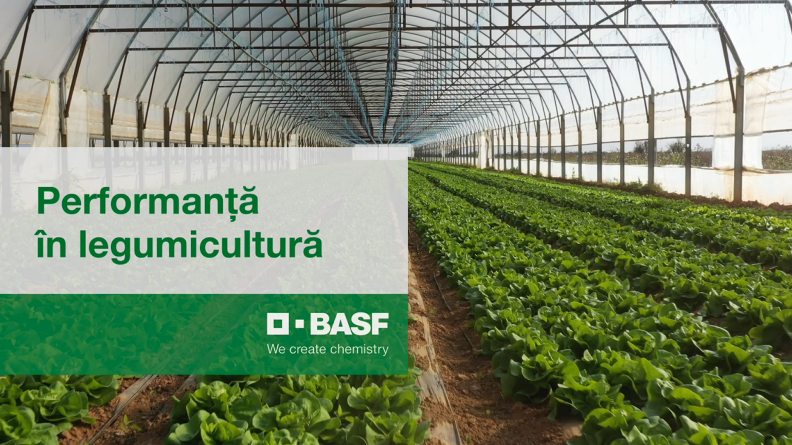 Descoperă experiența de la Marcoser!