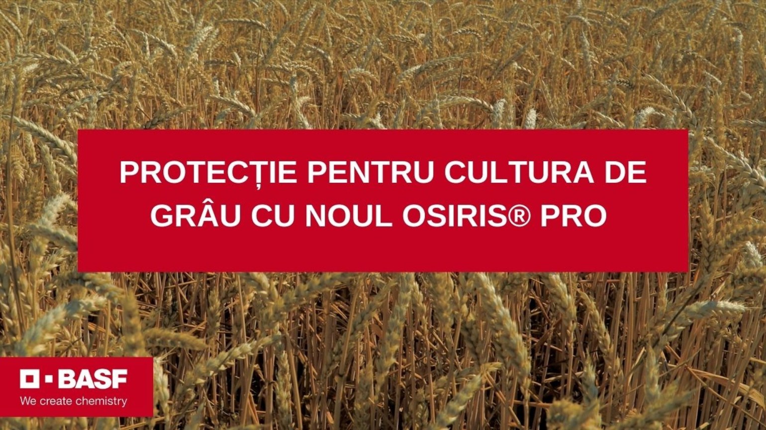 Eficiența fungicidului Osiris® Pro în cultura de grâu