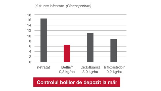 Bellis® - BASF Agricultural Solutions România
