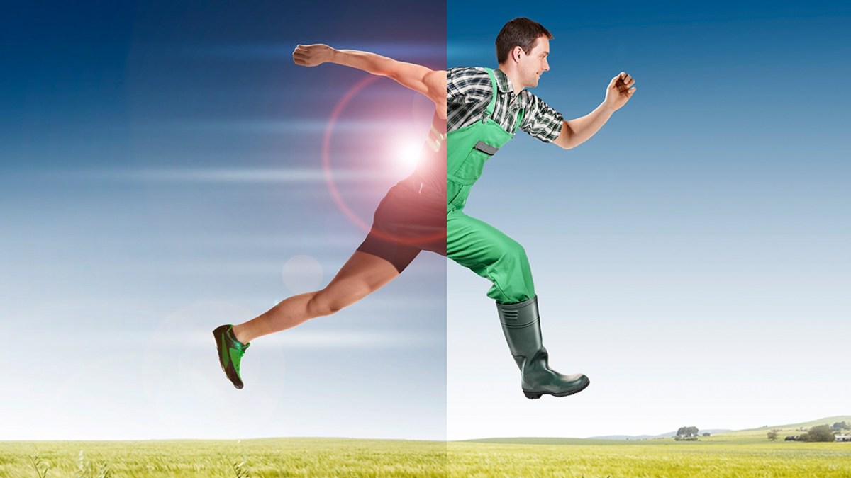 Insecticide pentru legume