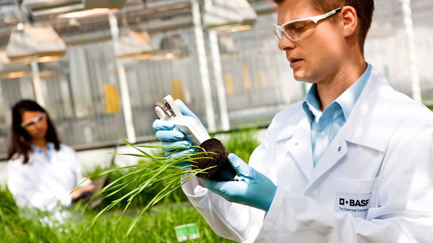 BASF - expert în protecția plantelor, alături de fermieri