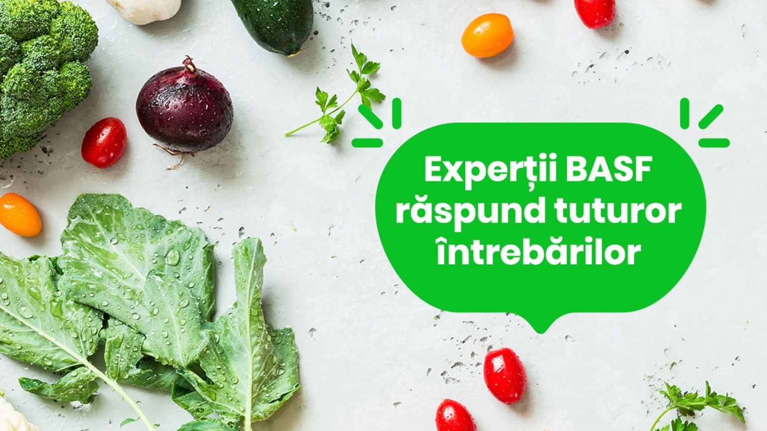 Experții BASF răspund întrebărilor tale