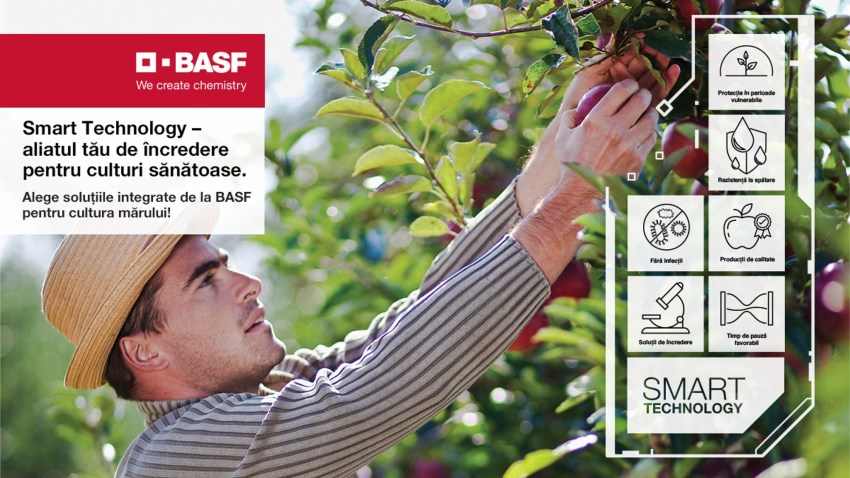 Smart Technology de la BASF