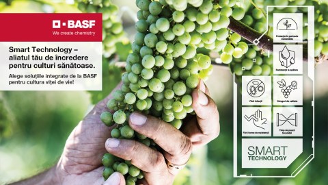 Smart Technology de la BASF