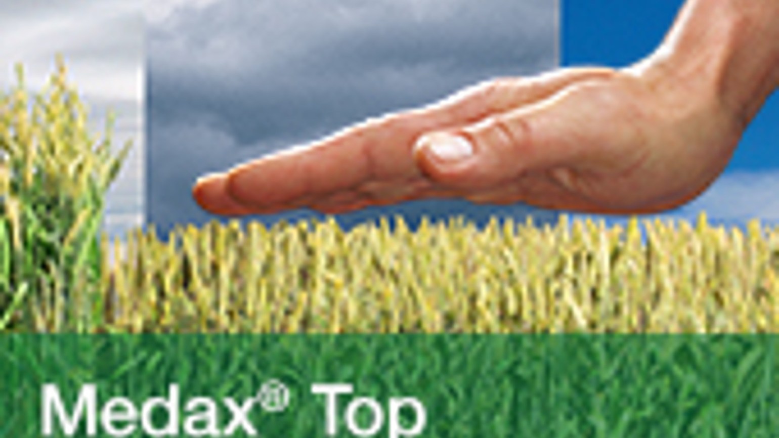 Medax® Top: de ce sa folosesti regulatori de crestere pentru cereale